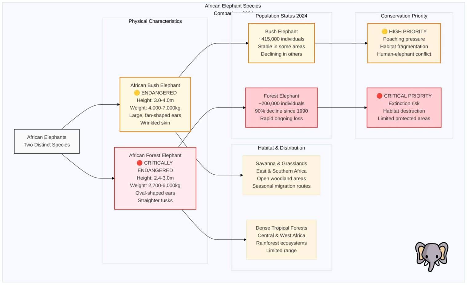 Elefante africano de matorral vs Elefante de bosque: Guía completa de ...